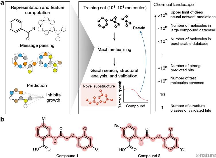 AI新突破：1篇论文发现近100万种潜在抗生素 | Cell里程碑医药新闻-ByDrug-一站式医药资源共享中心-医药魔方