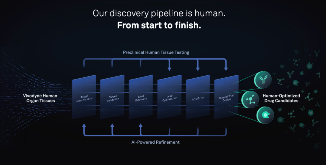 类器官+自动化机器人+AI，这家初创公司获3800万美元种子轮融资医药新闻-ByDrug-一站式医药资源共享中心-医药魔方