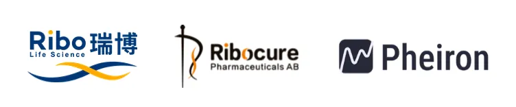 产业前沿 | 里程碑达成！瑞博生物AI辅助siRNA药物开发取得重要进展医药新闻-ByDrug-一站式医药资源共享中心-医药魔方