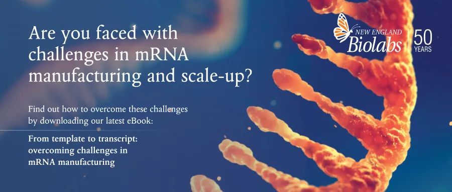 NEB 推出 RNase 4，精准切割，助力 mRNA 序列分析医药新闻-ByDrug-一站式医药资源共享中心-医药魔方