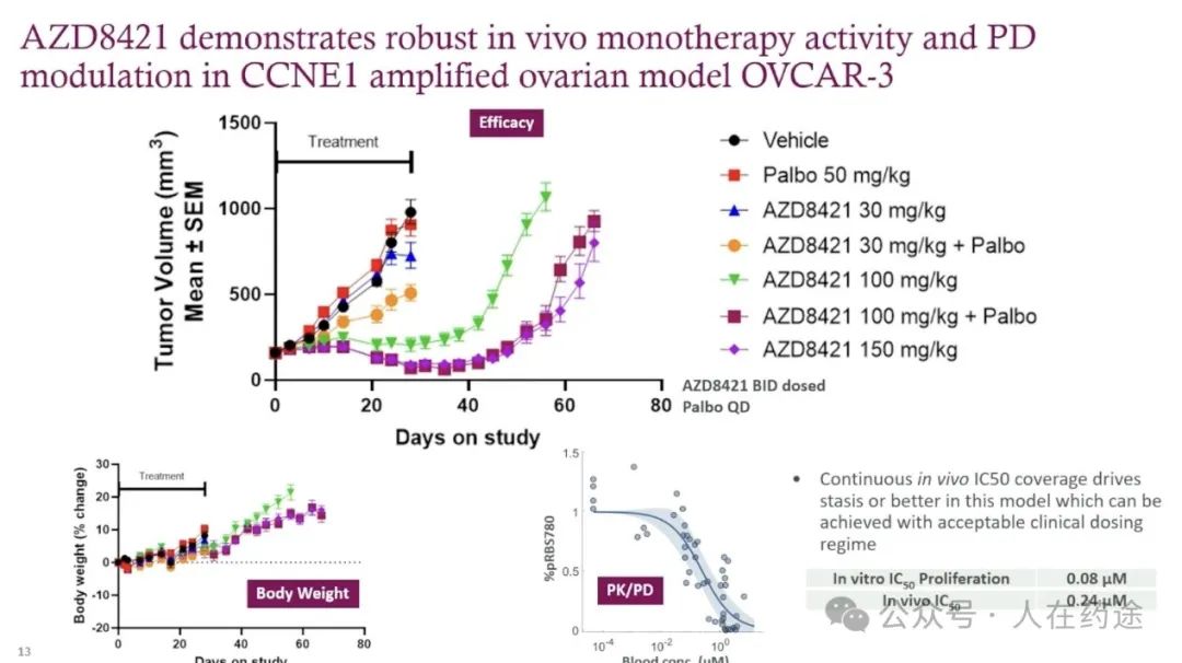 AACR24 | CDK2抑制剂AZD8421结构首次公开医药新闻-ByDrug-一站式医药资源共享中心-医药魔方