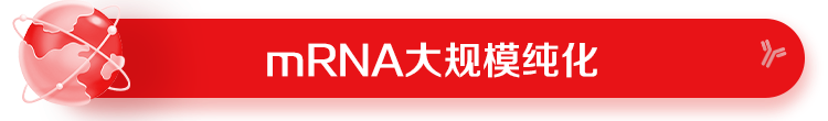 质稳高效，赋能行业 | 规模化高效mRNA纯化解决方案助力mRNA药物的商业化生产医药新闻-ByDrug-一站式医药资源共享中心-医药魔方