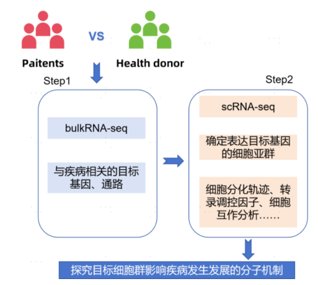 scRNA-seq携手bulk RNA-seq：性价比与科研价值的双重保障医药新闻-ByDrug-一站式医药资源共享中心-医药魔方