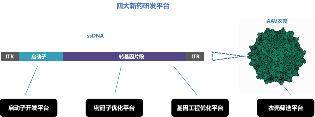 My Bio-Town | 至善唯新：破解血友病救治难题，原创基因新药有望2027年上市医药新闻-ByDrug-一站式医药资源共享中心-医药魔方
