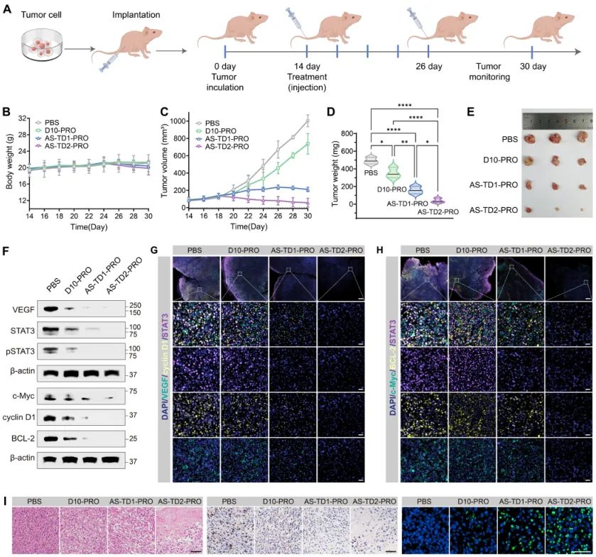 “四面体”PROTAC：大显身手医药新闻-ByDrug-一站式医药资源共享中心-医药魔方