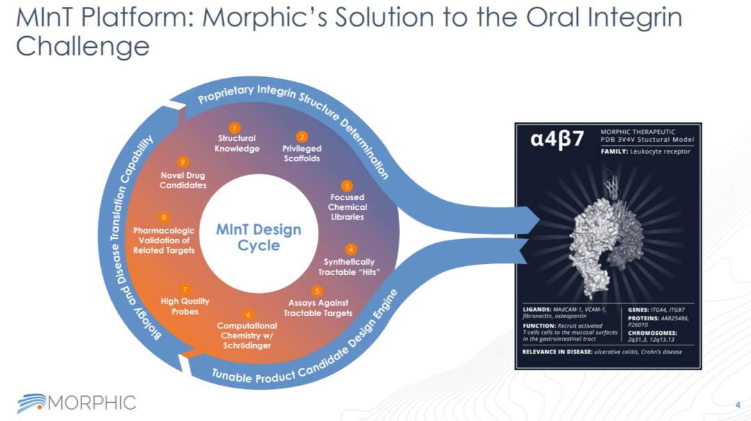 32亿美元！礼来收购Morphic，持续进军炎症性肠病领域医药新闻-ByDrug-一站式医药资源共享中心-医药魔方
