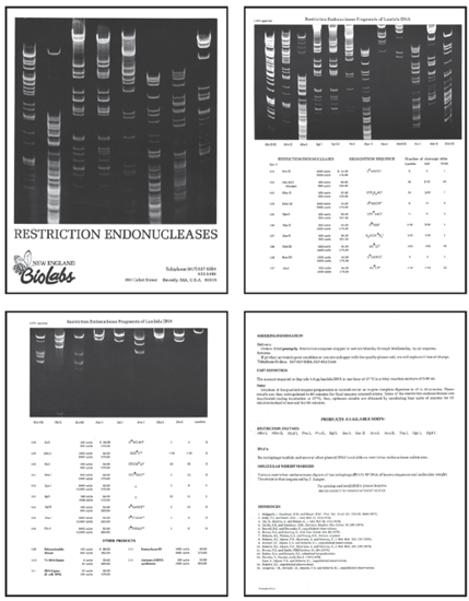 限制性内切酶的历史——NEB 持续在限制性内切酶领域进行技术创新的跨越之路医药新闻-ByDrug-一站式医药资源共享中心-医药魔方