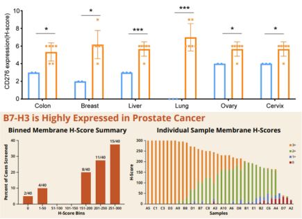 宜联生物新型B7H3 ADC药物YL201惊艳亮相2024ESMO， 用于多瘤种治疗，有效率再创新高！医药新闻-ByDrug-一站式医药资源 ...