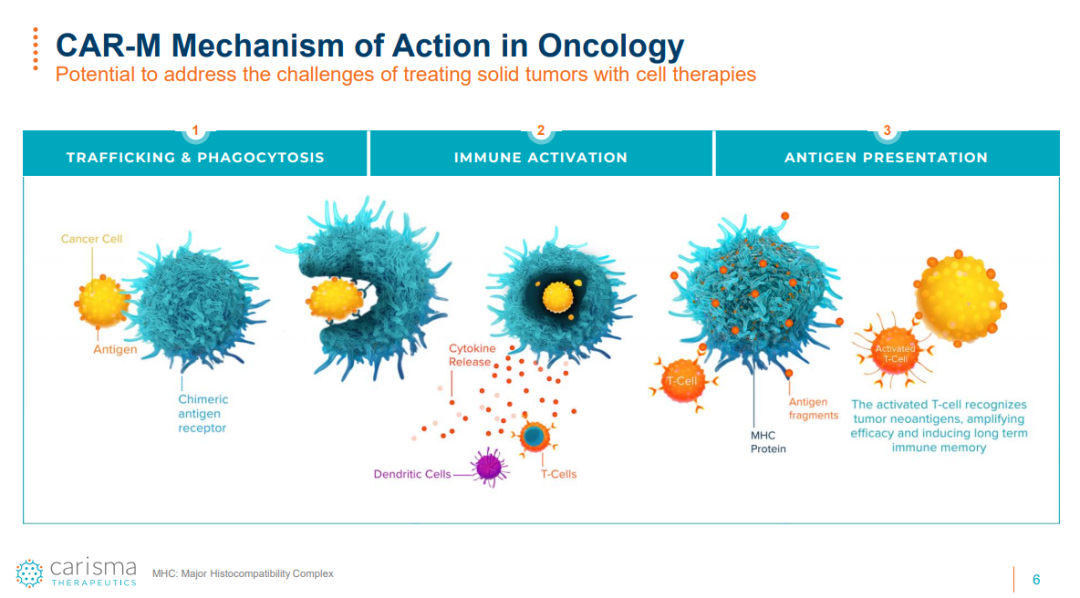 不是所有细胞都能CAR，Carisma停止两项CAR-M项目，裁员37%医药新闻-ByDrug-一站式医药资源共享中心-医药魔方