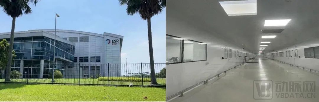 中国药企，正式奔赴第二战场医药新闻-ByDrug-一站式医药资源共享中心-医药魔方