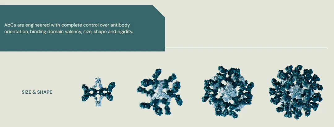 新锐！2000万美元种子轮融资，David Baker新公司开发AbC药物医药新闻-ByDrug-一站式医药资源共享中心-医药魔方