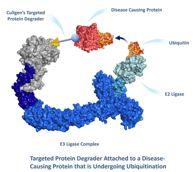 刚刚！睿跃生物与Pulmatrix达成合并协议！医药新闻-ByDrug-一站式医药资源共享中心-医药魔方