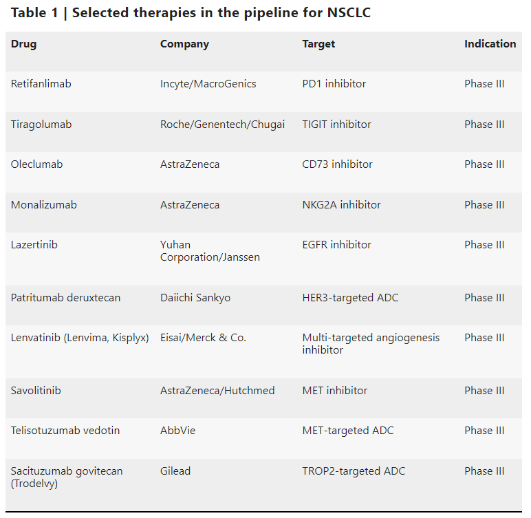 非小细胞肺癌（NSCLC）：药物治疗策略与市场全景解析医药新闻-ByDrug-一站式医药资源共享中心-医药魔方