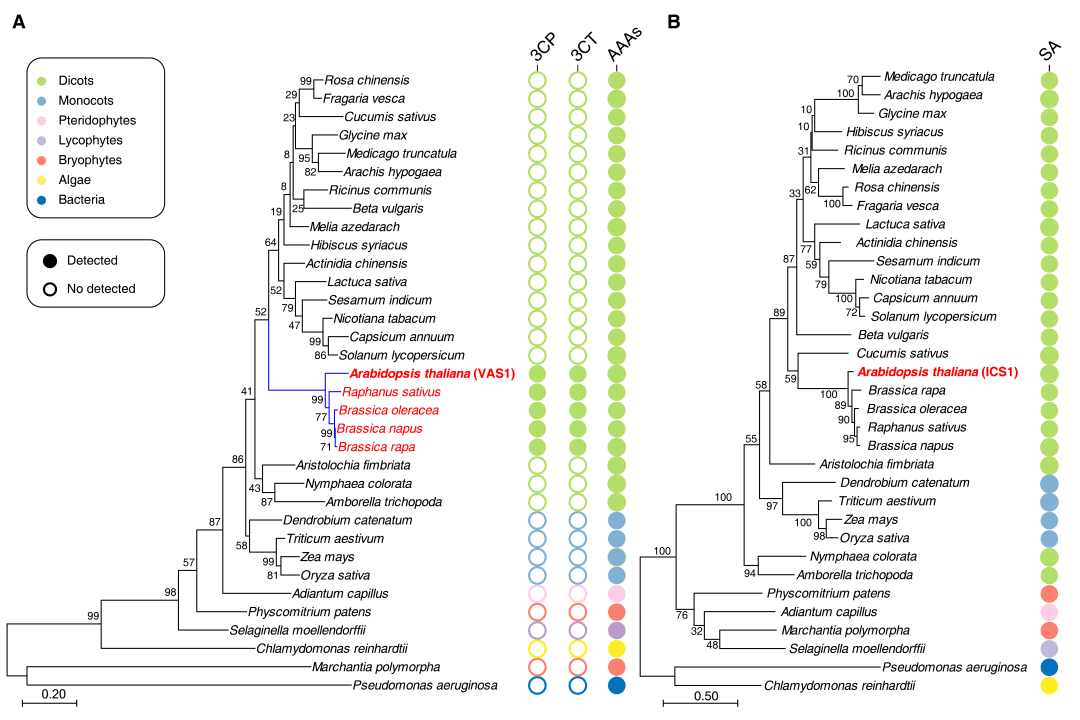 Science Advances | 揭示芳香族氨基酸合成与代谢新机制医药新闻-ByDrug-一站式医药资源共享中心-医药魔方