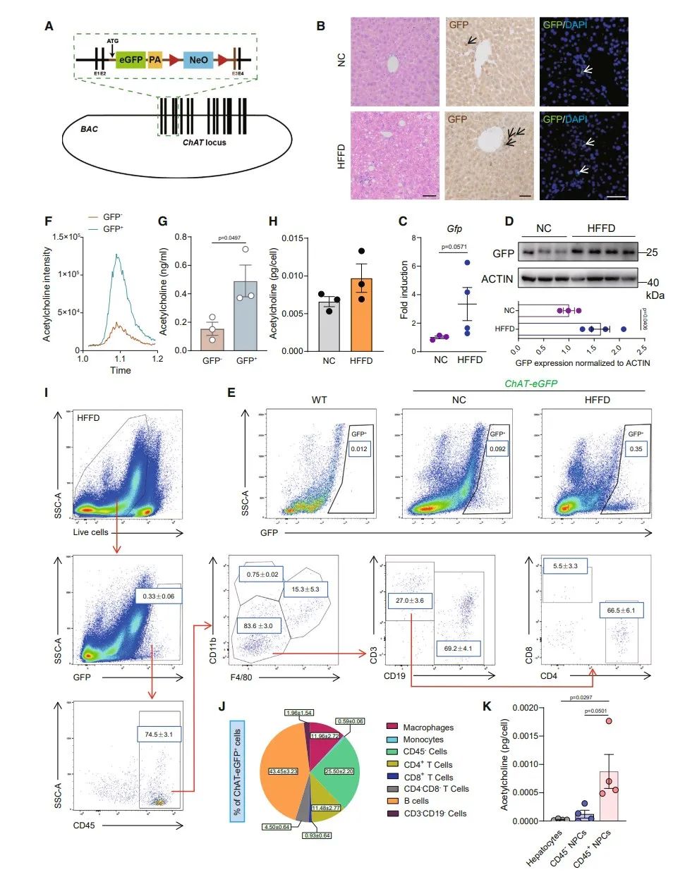 IF=29.0∣王丽蕊团队揭示肝实质细胞特异性表达的CHRNA4受体在MASH发展中的调控作用及新机制医药新闻-ByDrug-一站式医药资源 ...