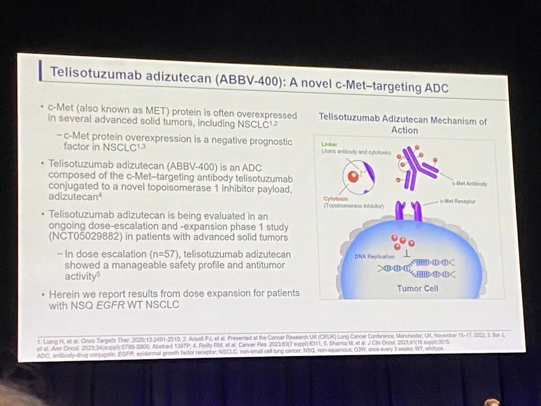 ESMO2024:c-MET ADC实力不凡，下一个必争BD绝佳靶点医药新闻-ByDrug-一站式医药资源共享中心-医药魔方