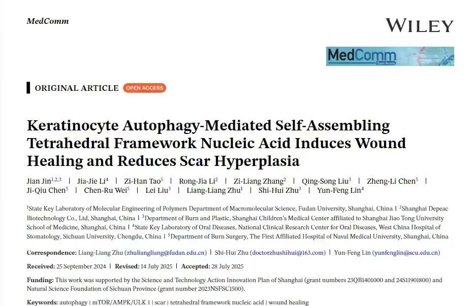 【前沿】医工交叉新突破，上海儿童医学中心联合多校团队发现四面体框架核酸可促进无瘢痕创面愈合医药新闻-ByDrug-一站式医药资源共享中心-医药魔方