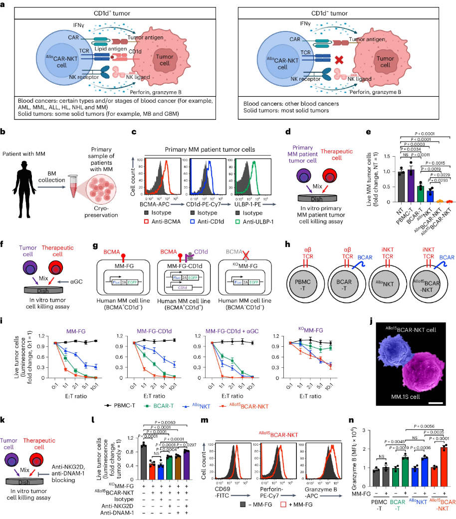 从造血干细胞和祖细胞中生成CAR-NKT细胞的新方法医药新闻-ByDrug-一站式医药资源共享中心-医药魔方