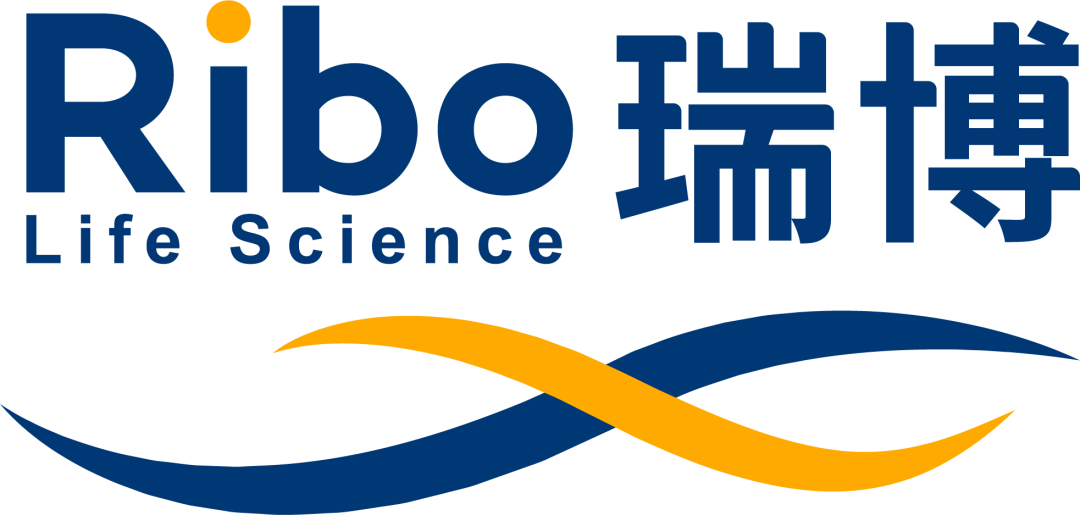 瑞博生物与PHEIRON达成合作，开发AI辅助的RNA药物医药新闻-ByDrug-一站式医药资源共享中心-医药魔方