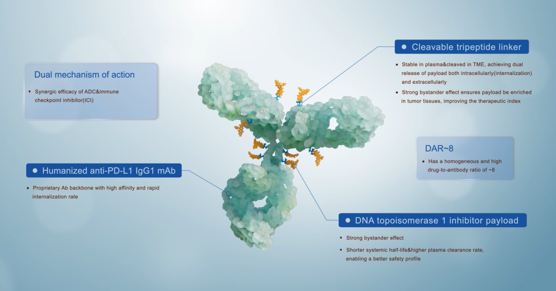 ASCO 2025 | NSCLC、TSCC获益显著，复宏汉霖PD-L1 ADC HLX43 I期临床数据首次亮相医药新闻-ByDrug-一站 ...