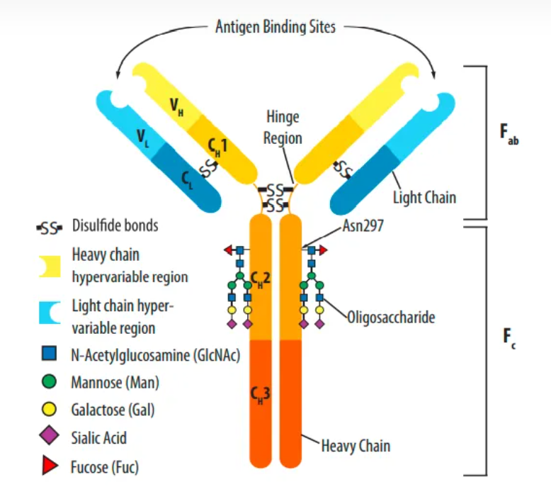 凯莱英生物 | 高甘露糖基化调控平台，加速ADC/抗体药物CMC进程医药新闻-ByDrug-一站式医药资源共享中心-医药魔方