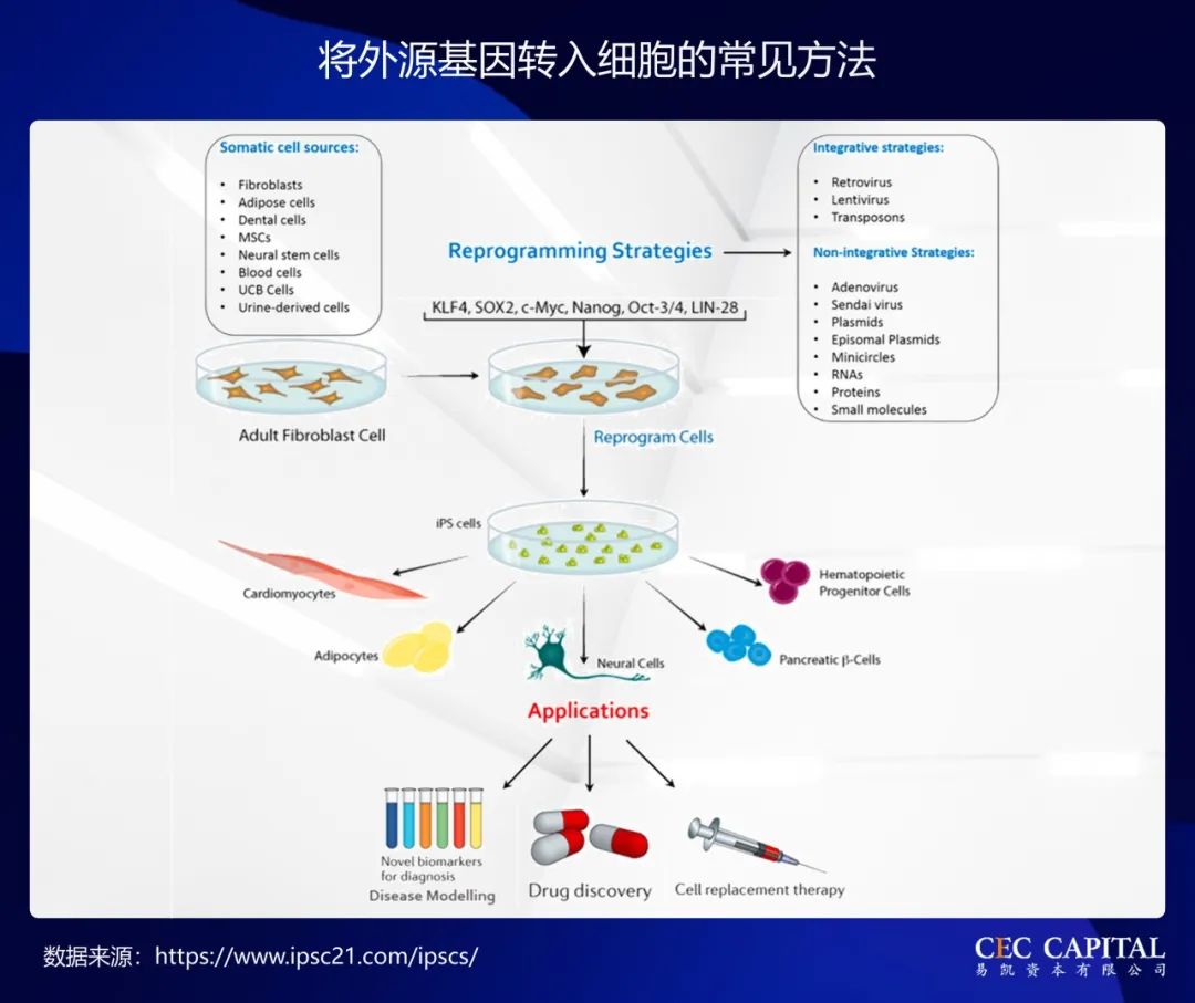 诱导多能干细胞（iPSC）的市场图景与增长潜力 | 易凯行研医药新闻-ByDrug-一站式医药资源共享中心-医药魔方