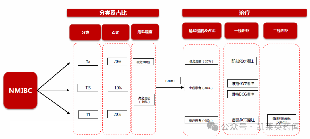 全球首个IL-15药物获批！ImmunityBio的Anktiva获FDA批准用于治疗卡介苗不响应的非肌肉浸润性膀胱癌医药新闻-ByDrug ...