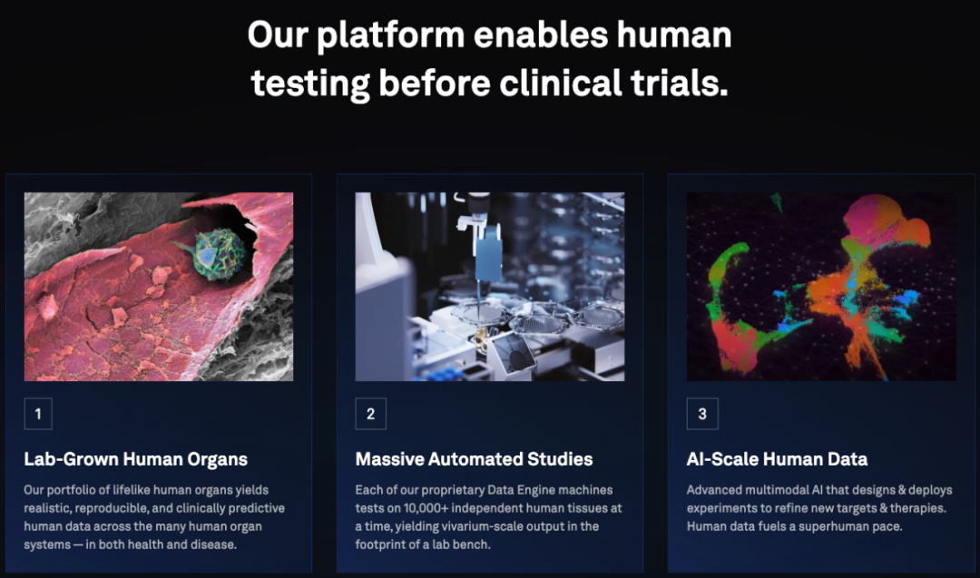 类器官+自动化机器人+AI，这家初创公司获3800万美元种子轮融资医药新闻-ByDrug-一站式医药资源共享中心-医药魔方
