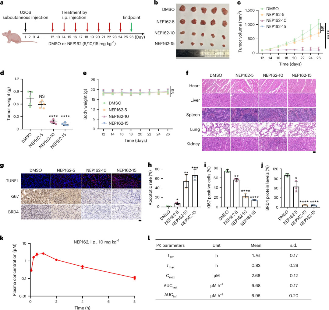 中国科学家Nature子刊：PROTAC“迎来”全新E3连接酶医药新闻-ByDrug-一站式医药资源共享中心-医药魔方