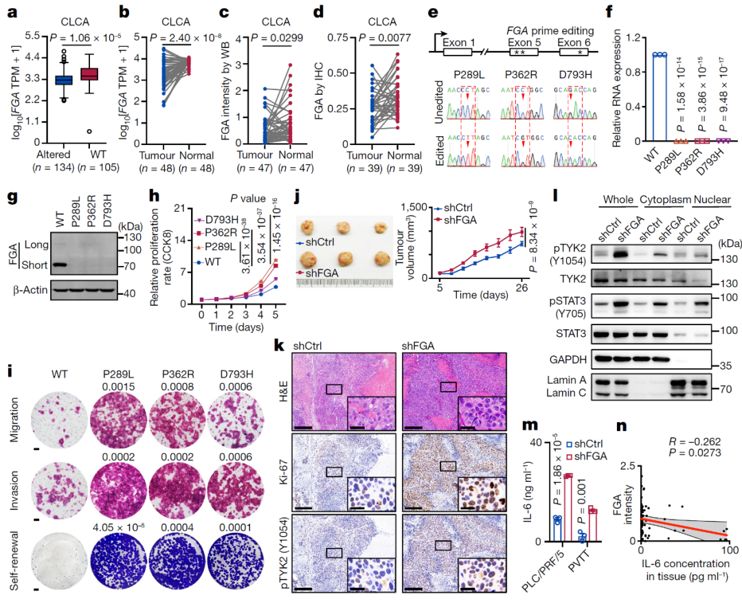 中国科学家最新Nature：抗癌新靶点——FGA医药新闻-ByDrug-一站式医药资源共享中心-医药魔方