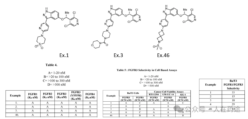 选择性FGFR3抑制剂：冲击下一个蓝海市场医药新闻-ByDrug-一站式医药资源共享中心-医药魔方