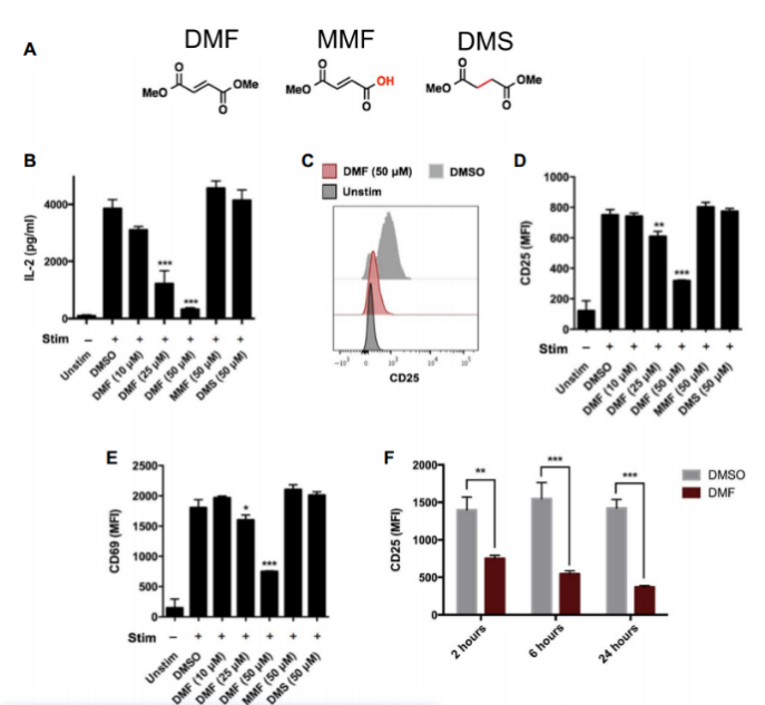 DMF重塑T细胞命运：共价筛选揭秘免疫调节新靶点医药新闻-ByDrug-一站式医药资源共享中心-医药魔方