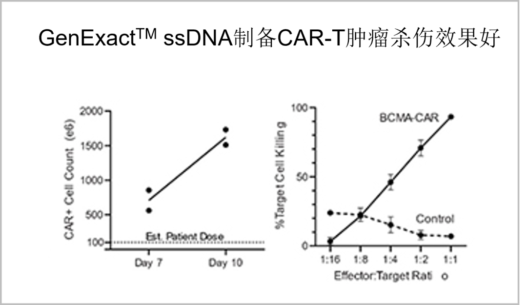 金斯瑞ssDNA获发明专利授权！更高敲入效率支持T/NK/iPSC细胞疗法开发，限时6折医药新闻-ByDrug-一站式医药资源共享中心-医药魔方