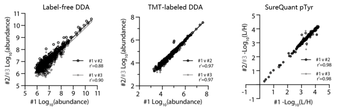 靶向蛋白质活性检测，突破传统，让疾病诊治更精准医药新闻-ByDrug-一站式医药资源共享中心-医药魔方