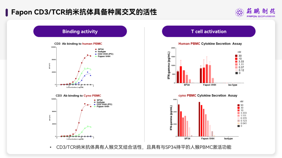 菲鹏制药研发具备种属交叉活性抗CD3纳米抗体，引领TCE药物开发新方向医药新闻-ByDrug-一站式医药资源共享中心-医药魔方