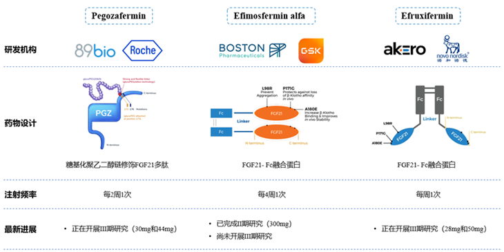 FGF21赛道进入黎明破晓时医药新闻-ByDrug-一站式医药资源共享中心-医药魔方