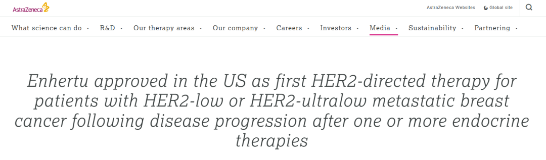 覆盖HER2超低表达乳腺癌！Enhertu新适应症获FDA批准医药新闻-ByDrug-一站式医药资源共享中心-医药魔方