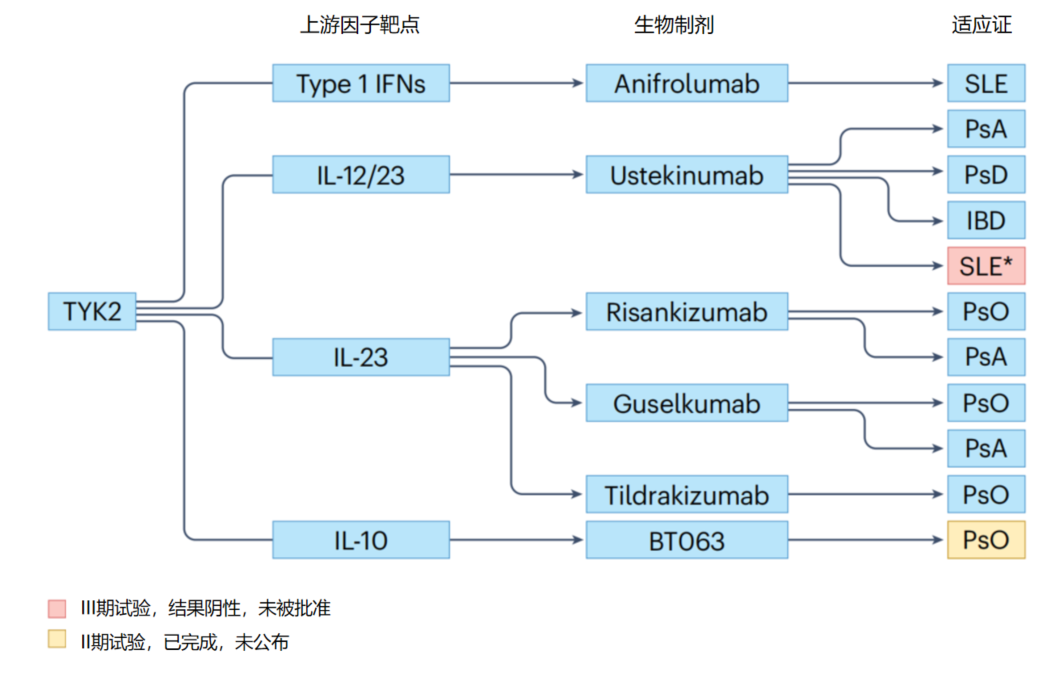 NATURE 子刊：治疗风湿病的新靶点-TYK2医药新闻-ByDrug-一站式医药资源共享中心-医药魔方