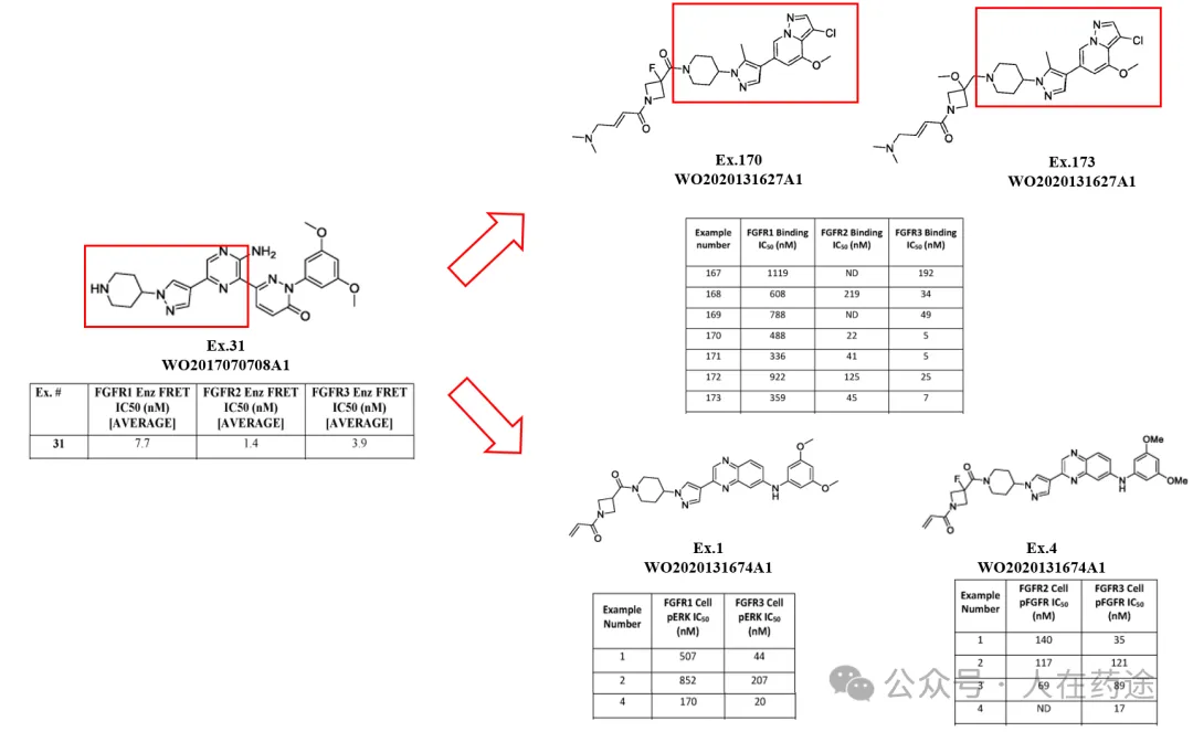 选择性FGFR3抑制剂：冲击下一个蓝海市场医药新闻-ByDrug-一站式医药资源共享中心-医药魔方