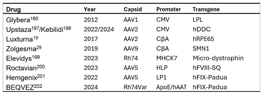 AAV载体进化简史（2）：从顺式调控到衣壳互作：重构AAV表达控制的逻辑医药新闻-ByDrug-一站式医药资源共享中心-医药魔方