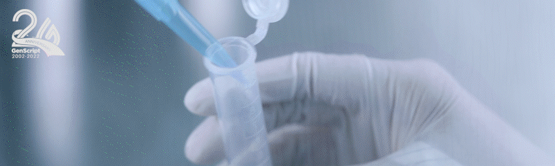 深度梳理CAR疗法 | 从CAR-T、CAR-NK到CAR-M，都有哪些应用难点与解决策略？医药新闻-ByDrug-一站式医药资源共享中心-医药魔方