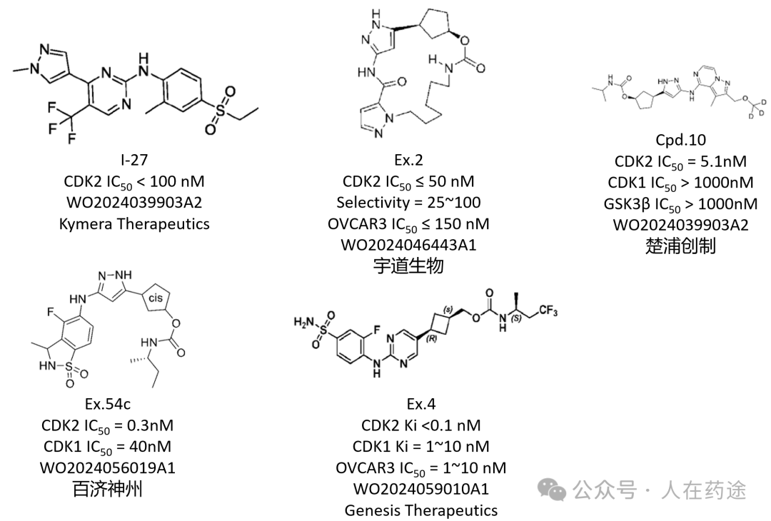 数十亿美元重磅交易——CDK2近期专利盘点（一）医药新闻-ByDrug-一站式医药资源共享中心-医药魔方