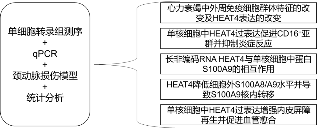 Circulation重磅：心衰治疗新靶点！HEAT4长非编码RNA或成突破口医药新闻-ByDrug-一站式医药资源共享中心-医药魔方