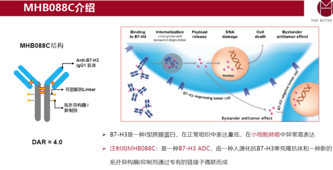 打破30年困局！广泛期小细胞肺癌首次治疗迎来“无化疗”新选择！医药新闻-ByDrug-一站式医药资源共享中心-医药魔方