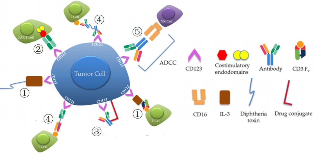 阿斯利康：靶向CD123 ADC产品国内申报临床医药新闻-ByDrug-一站式医药资源共享中心-医药魔方