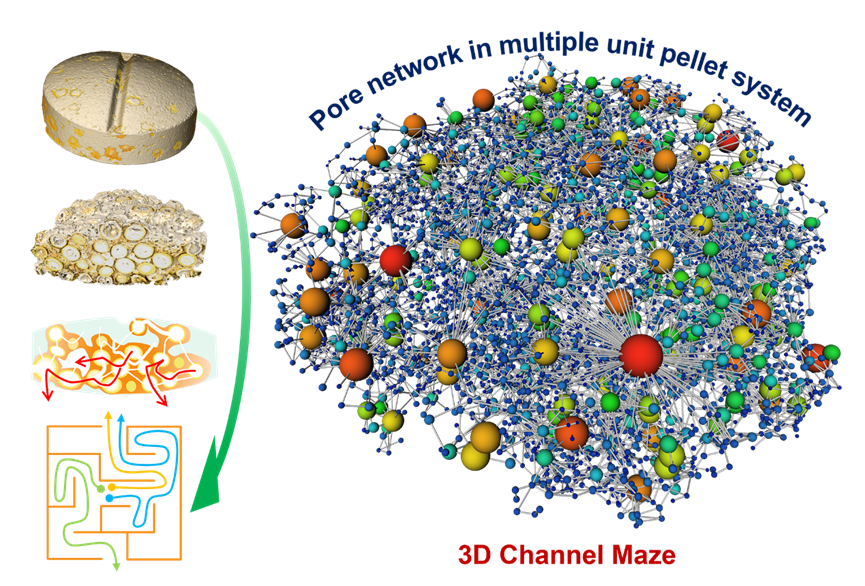 JCR | 上海药物所合作研究药物缓控释放“3D通道迷宫”新机制医药新闻-ByDrug-一站式医药资源共享中心-医药魔方