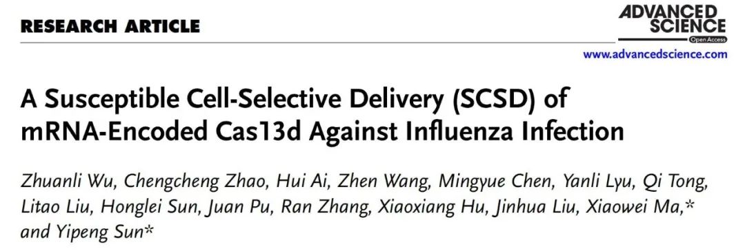 Adv Sci | 效果远超奥司他韦！中国农大开发SCSD增强CRISPR/Cas13d抗流感病毒疗效医药新闻-ByDrug-一站式医药资源共享中心-医药魔方