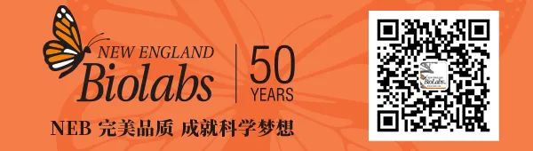 NEB 推出 RNase 4，精准切割，助力 mRNA 序列分析医药新闻-ByDrug-一站式医药资源共享中心-医药魔方