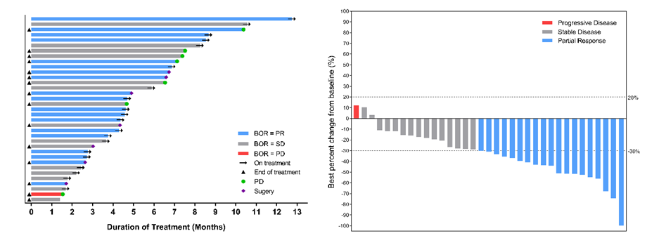 2023 ESMO Asia | 更优方案，更高ORR！深入解读安罗替尼联合方案治疗晚期胰腺癌新进展医药新闻-ByDrug-一站式医药资源共享中心-医药魔方