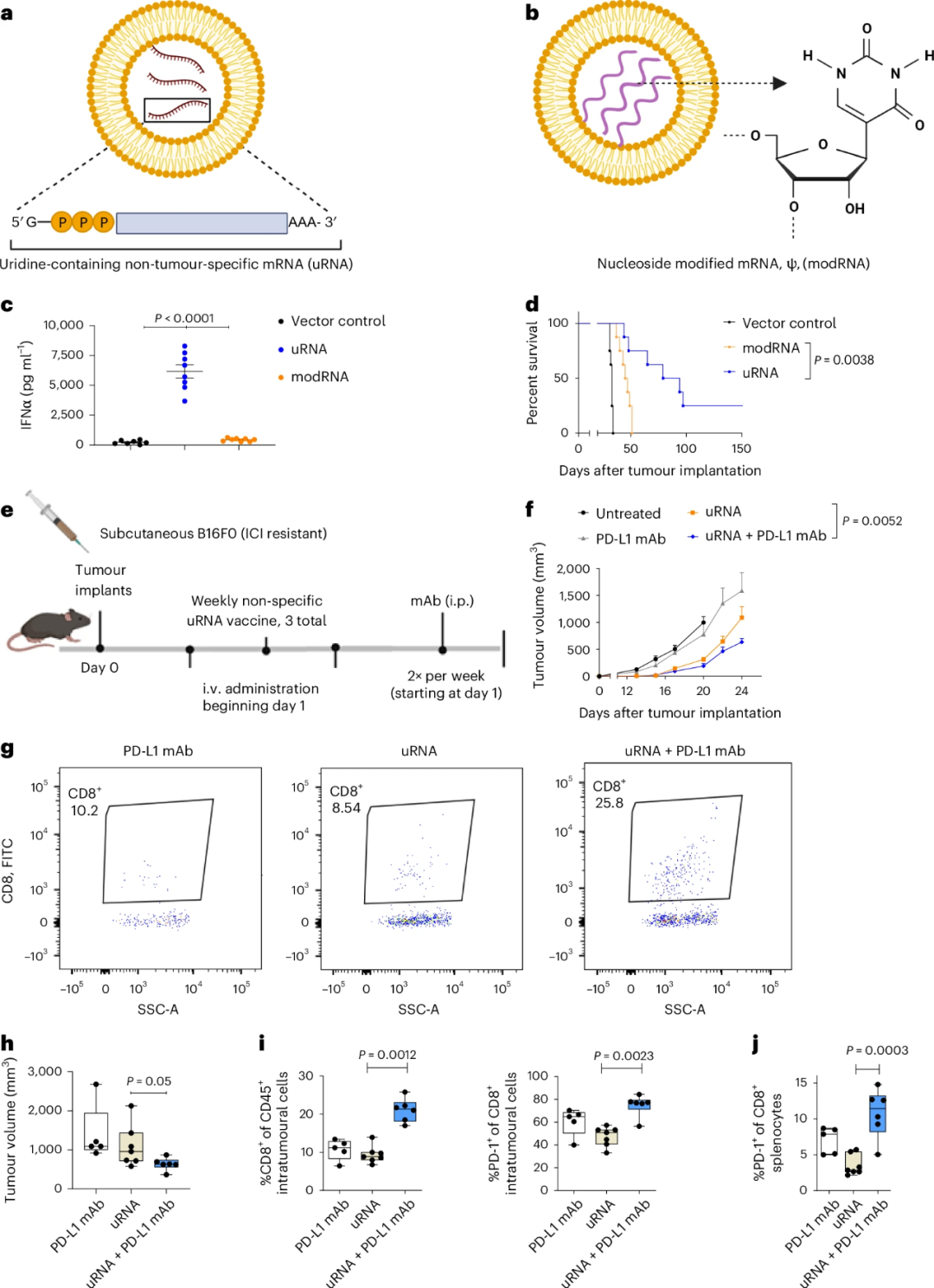 佛罗里达大学团队开发通用型肿瘤mRNA疫苗，覆盖冷肿瘤及弱免疫原性！医药新闻-ByDrug-一站式医药资源共享中心-医药魔方
